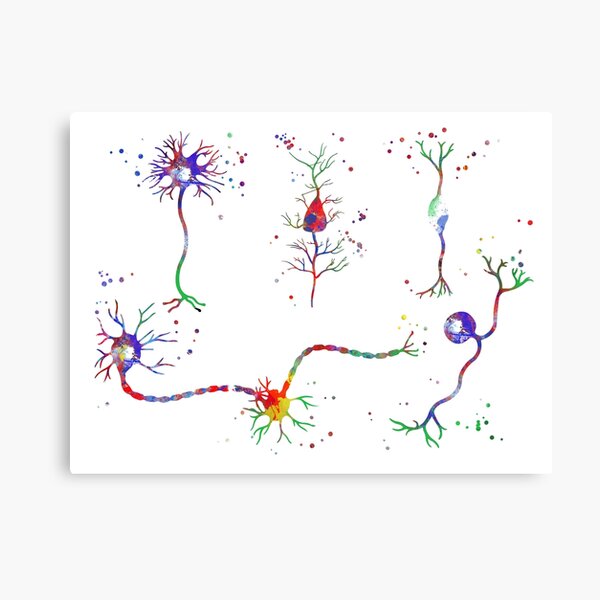 "Neuron cells, neurology poster, medical art, watercolor neuron cells ...