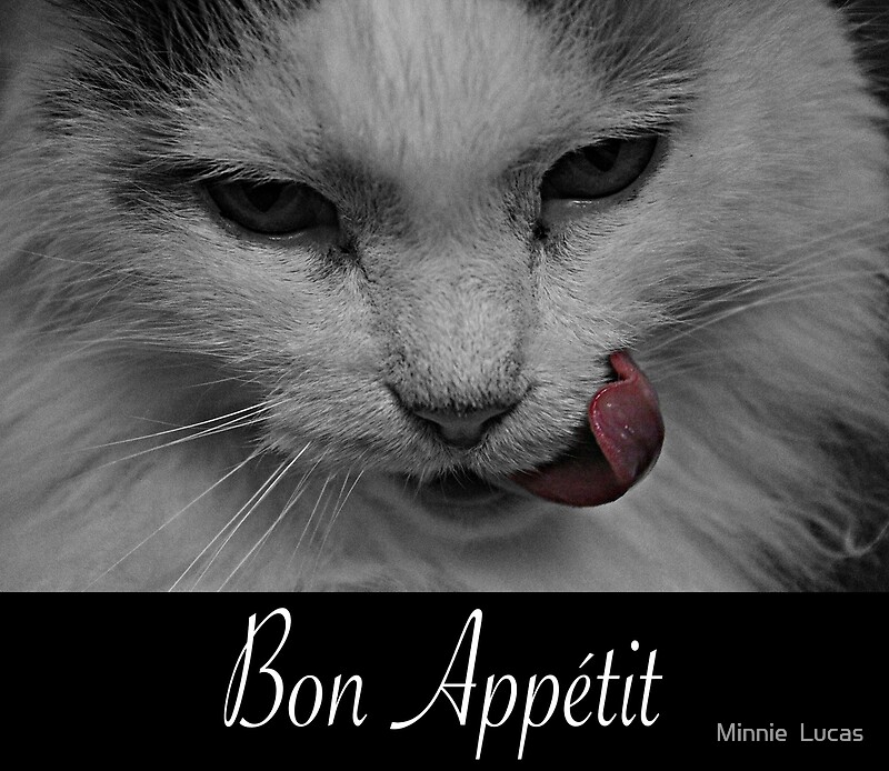 "Bon Appetit Cat" by Minnie Lucas Photography | Redbubble