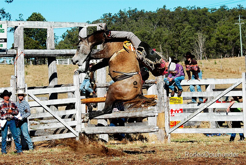 ""Bucking Bronc - Teebar Rodeo"" by RodeoDownunder | Redbubble