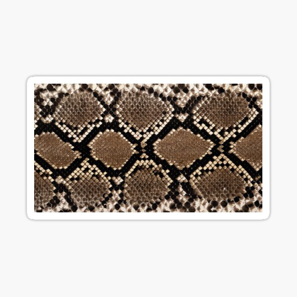 "Snake Skin" Sticker by TILTEDTOWERZ | Redbubble
