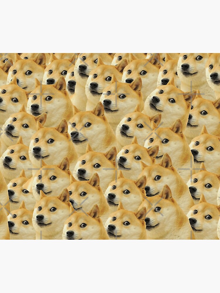 "Doge WOW Pattern Shiba Inu Doggo dog meme montage HD High Quality ...