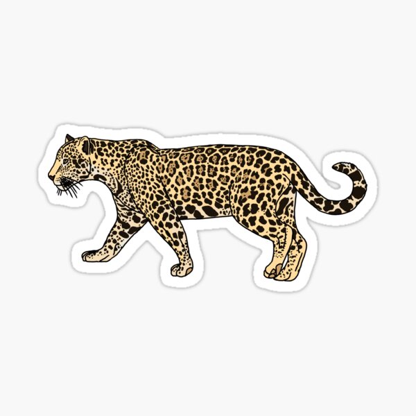 "Jaguar" Sticker for Sale by GraceT26 | Redbubble