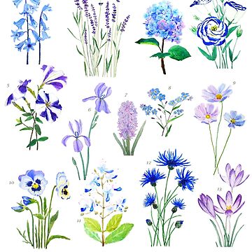"hand painted blue and purple flower collection watercolor " Art Print ...