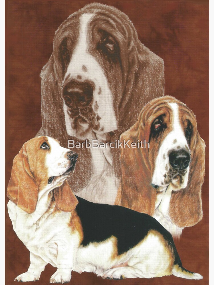 "Basset Hound Alteration" Sticker for Sale by BarbBarcikKeith | Redbubble