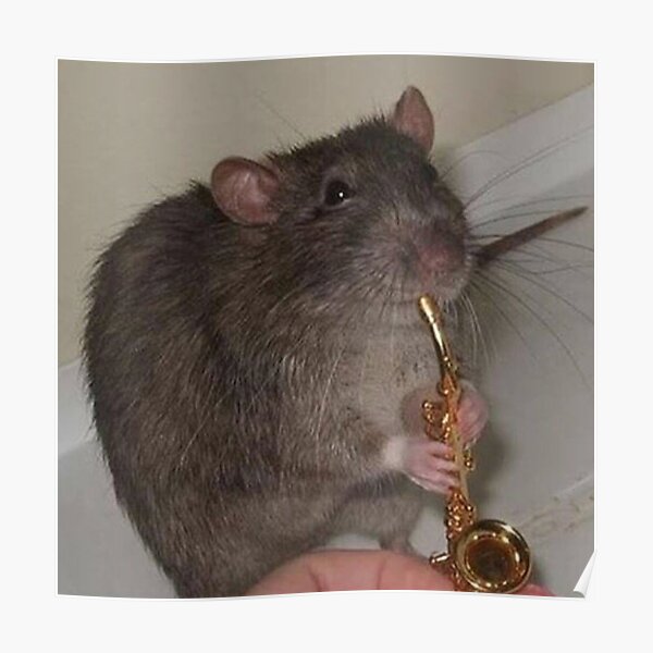 "Rat Patootie" Poster for Sale by Sclonder | Redbubble