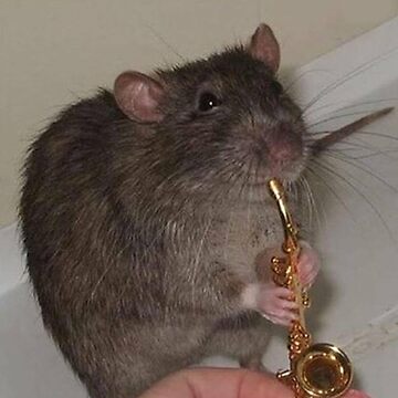 "Rat Patootie" Poster for Sale by Sclonder | Redbubble