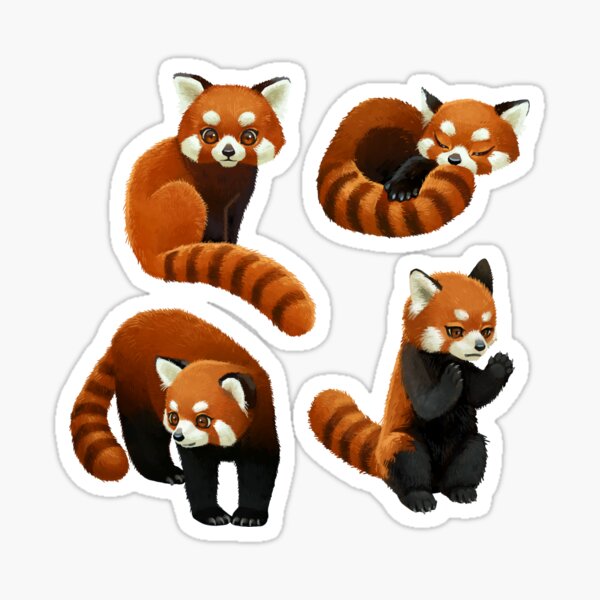 "Red Pandas Pattern" Sticker by freeminds | Redbubble