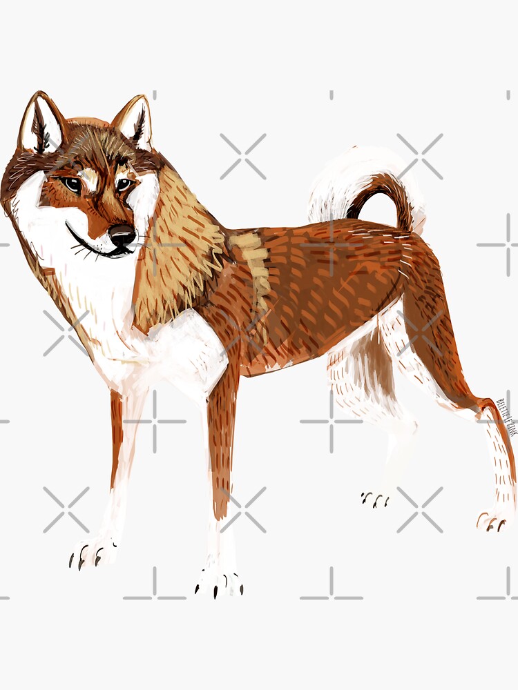 "Shikoku Inu (Red)" Sticker for Sale by belettelepink | Redbubble