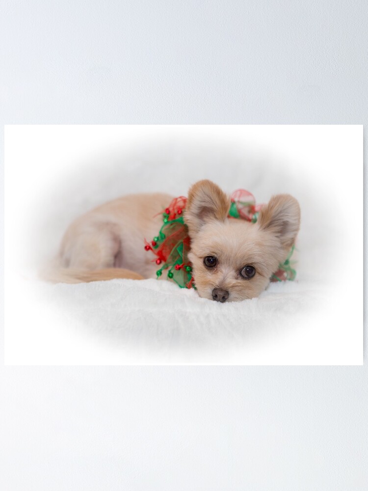 "Sleepy Christmas Wally" Poster by Mariebm56 | Redbubble