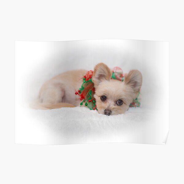 "Sleepy Christmas Wally" Poster by Mariebm56 | Redbubble