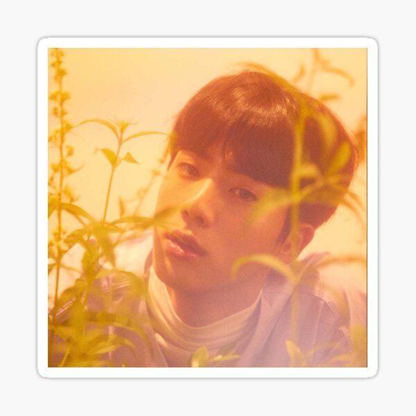 "Jin" Sticker by BaoziHerena | Redbubble