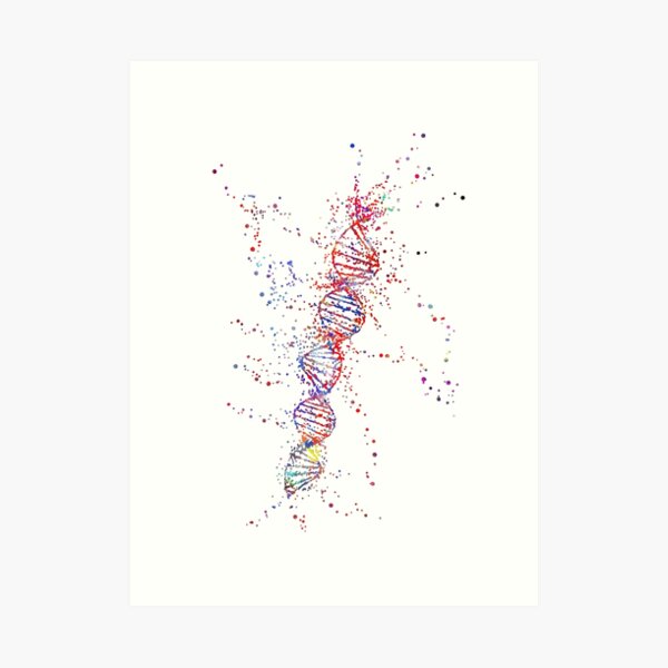 "DNA molecule, watercolor DNA, DNA, molecule" Art Print for Sale by ...