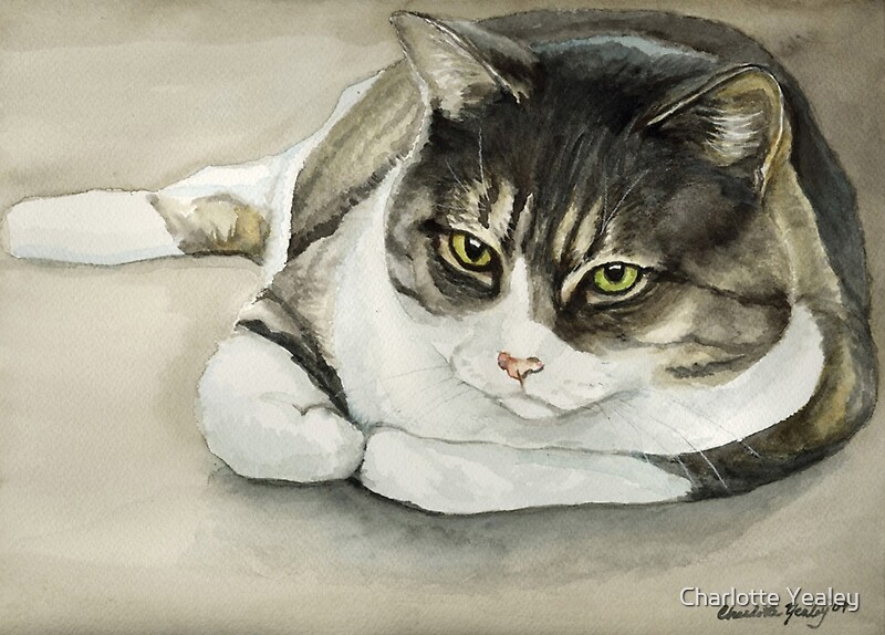 "Tubby Tabby Cat Watercolor Painting" by Charlotte Yealey | Redbubble