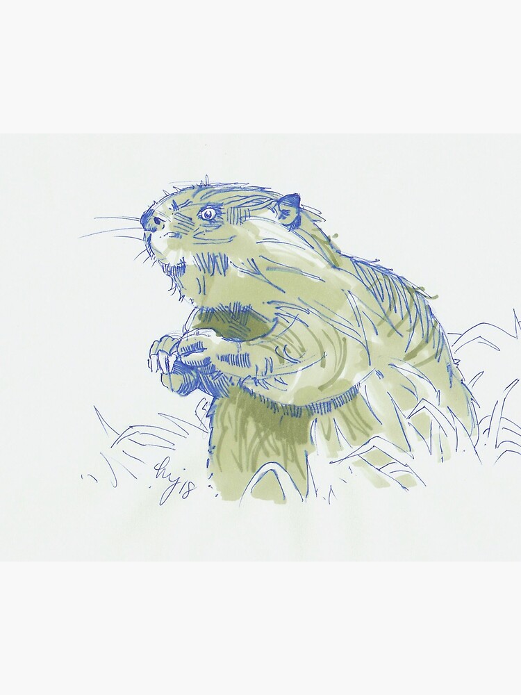"Beaver drawing" Art Print for Sale by MikeJory | Redbubble