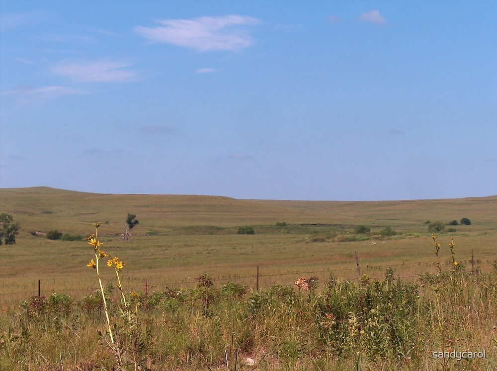 "Kansas Prairie With No Little House" by sandycarol | Redbubble