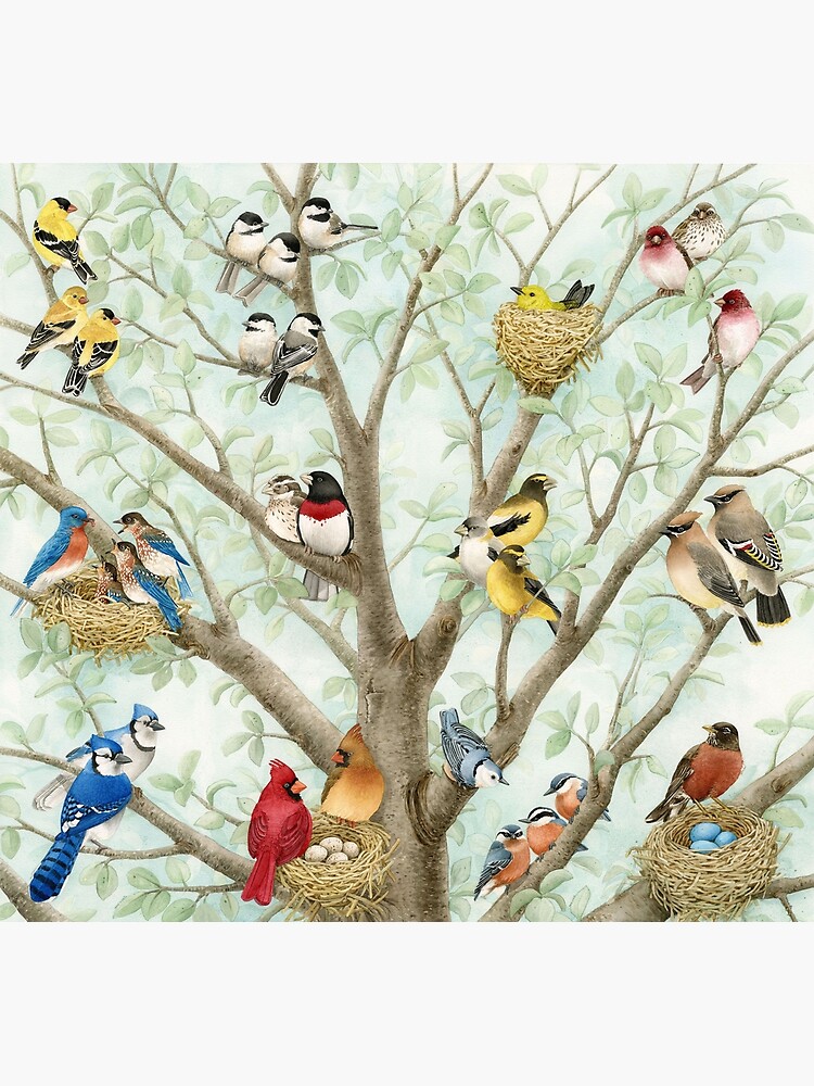 "Bird Tree" Poster for Sale by TracyLizotte | Redbubble