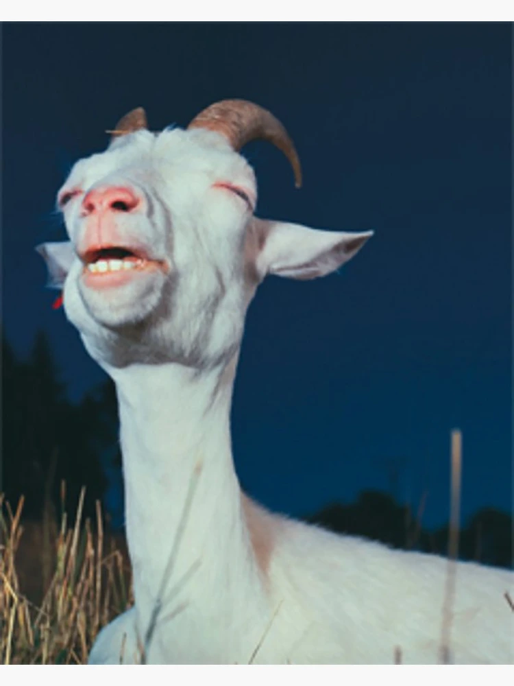 Ziegen Memes Ziegenbock, Reit Und Zugtier Für Kinder In Miniatur 1:12