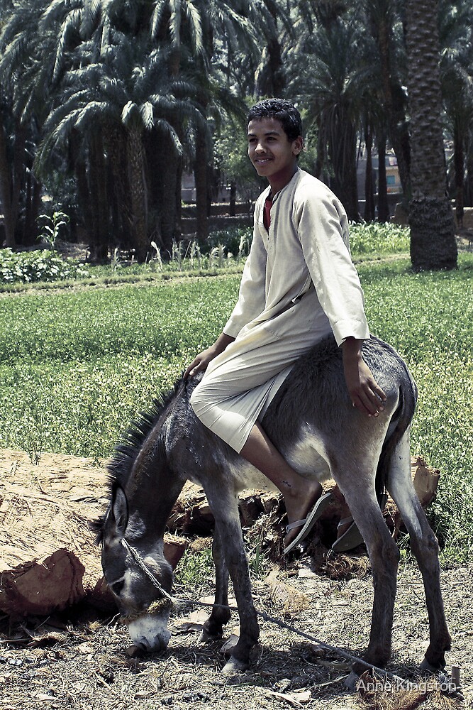 "Fellahin boy, Luxor, Egypt" by Anne Kingston | Redbubble