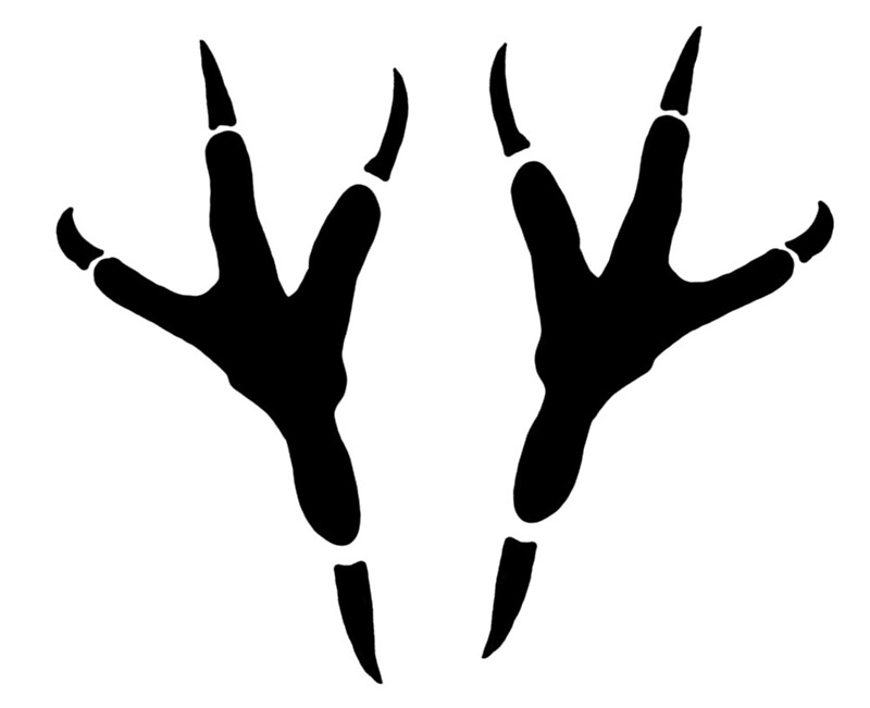 "Hawk Footprints" by Larkspur | Redbubble