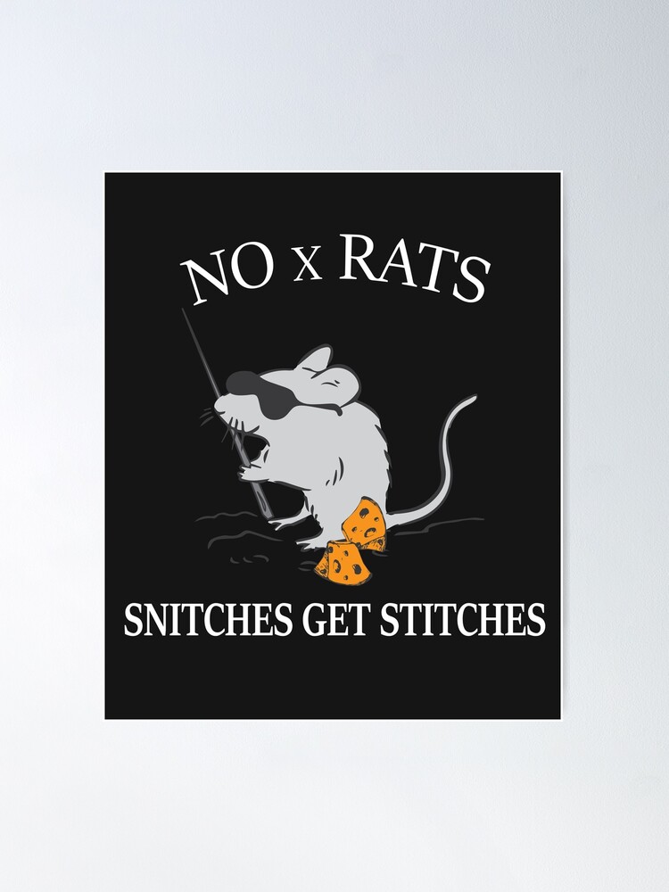 Rats Snitches Memes Snitch GIFs | Tenor