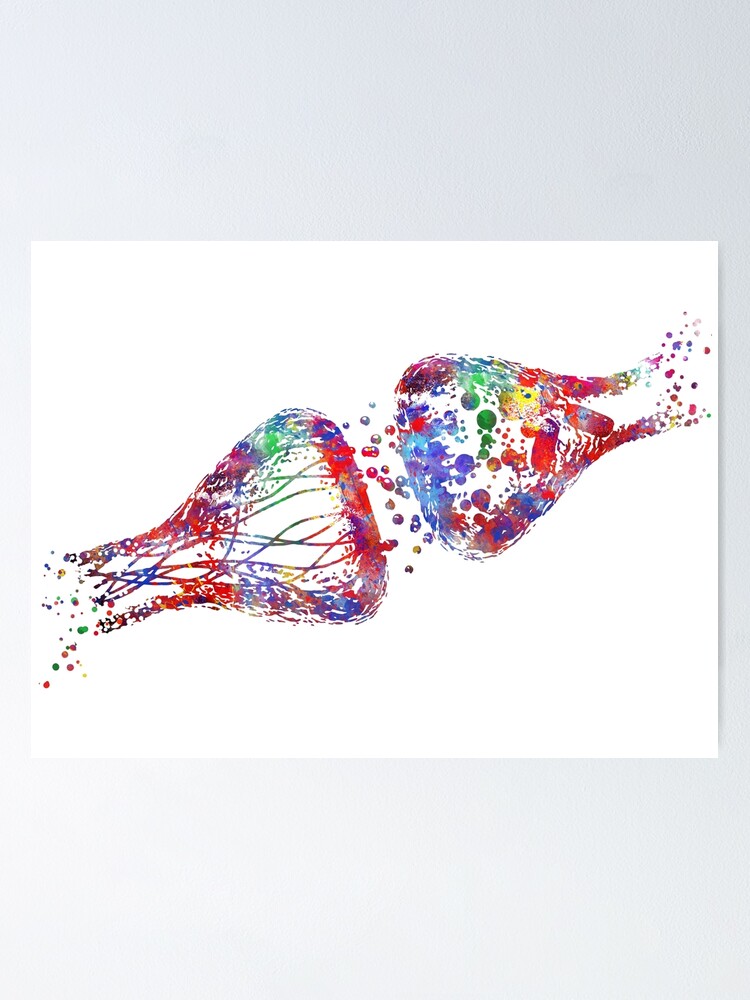 "Synapse receptor, neurology art, medical art, watercolor synapse ...