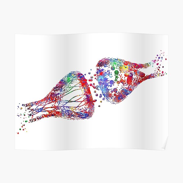 "Synapse receptor, neurology art, medical art, watercolor synapse ...