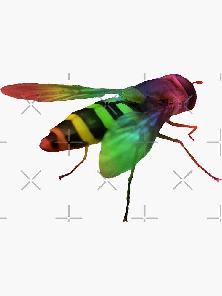 "colorful wasp in the colors of the rainbow, insect" Sticker for Sale ...
