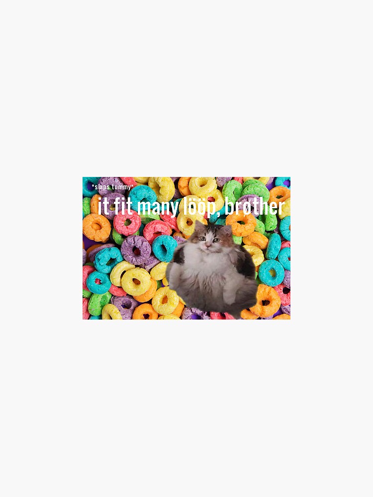 It Fit Many Loop Brother Cat Meme Sticker By P0pculture3 Redbubble