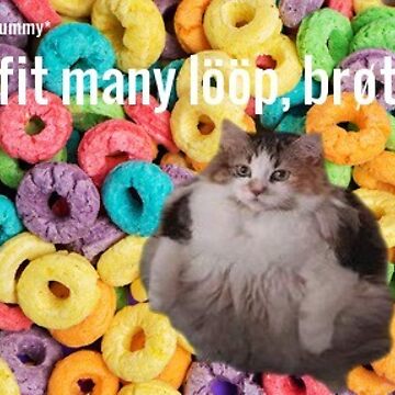 ""it fit many loop brother" cat meme" Sticker for Sale by p0pculture3 ...