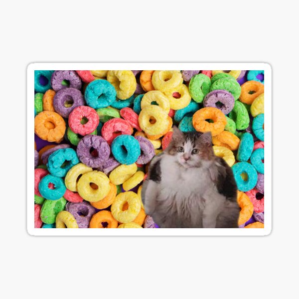 "loops brother cat meme" Sticker for Sale by p0pculture3 | Redbubble
