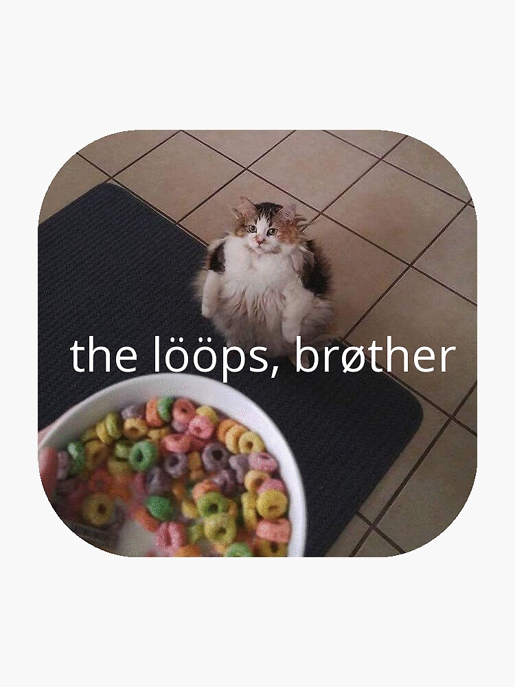 ""The loops, brother" cat meme" Sticker for Sale by p0pculture3 | Redbubble