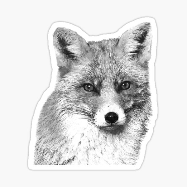 "Black and White Fox" Sticker for Sale by Alemi | Redbubble