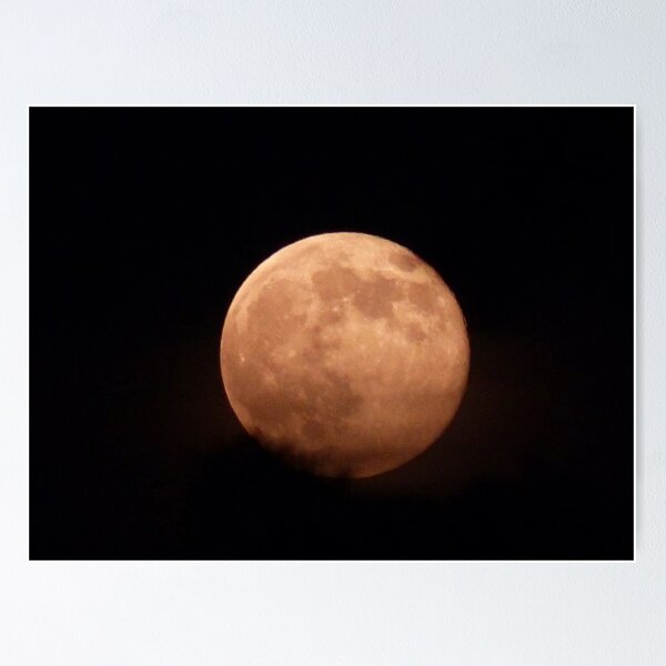 "Supermoon" Poster for Sale by FrankieCat | Redbubble