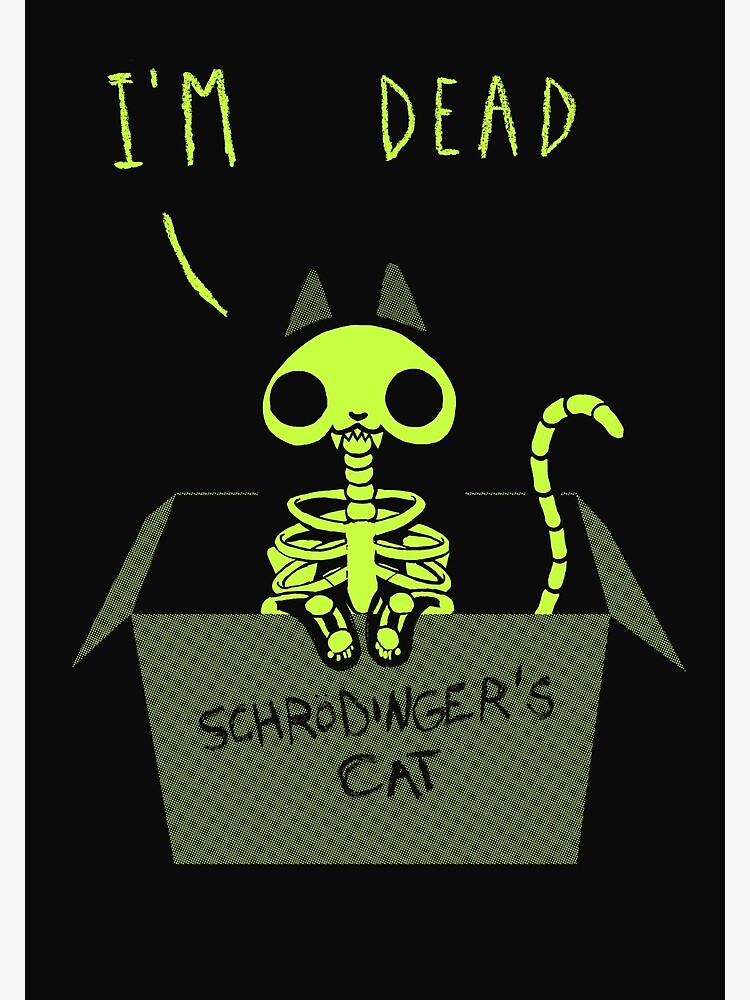 "Schrodinger Night - Schrödinger's Cat - Science Physics - Cute Kitty ...