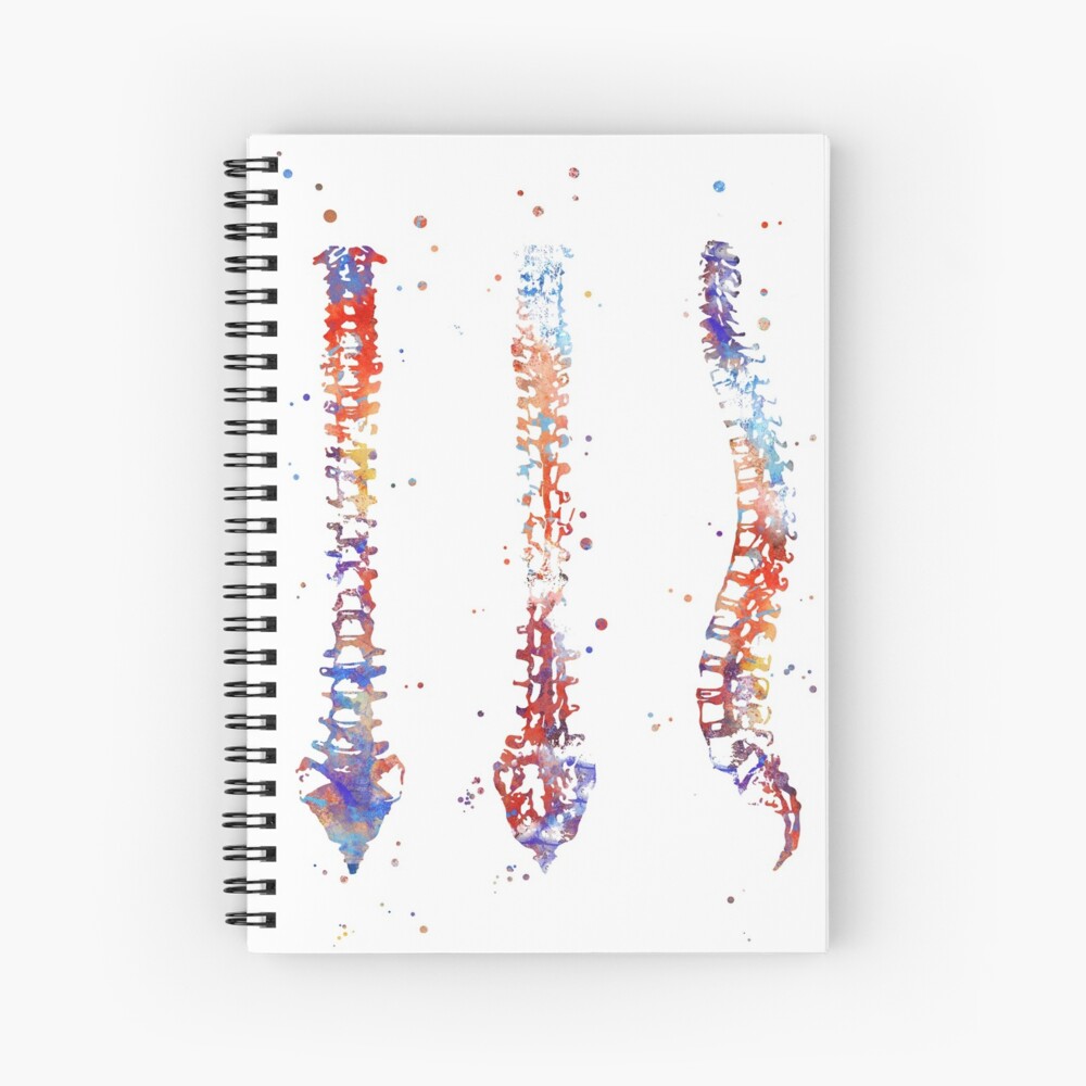 "Spine, watercolor Spine, anatomy art, spinal cord" Spiral Notebook for ...