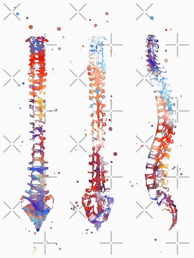 "Spine, watercolor Spine, anatomy art, spinal cord" T-shirt for Sale by ...