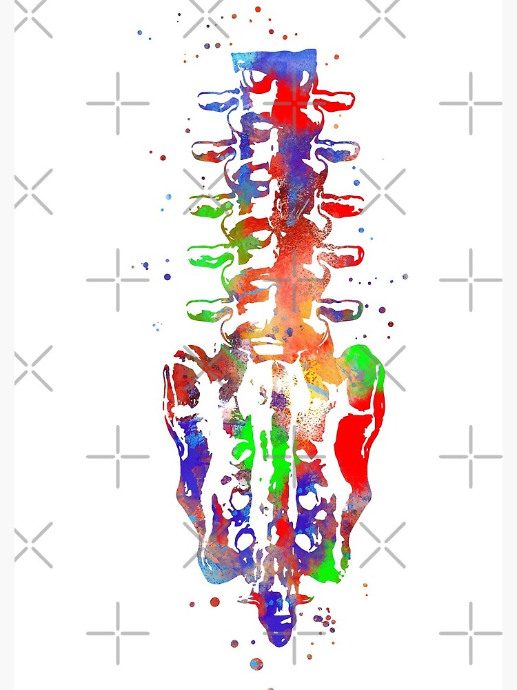Cuaderno de espiral «Sacro y la columna lumbar, anatomía humana ...
