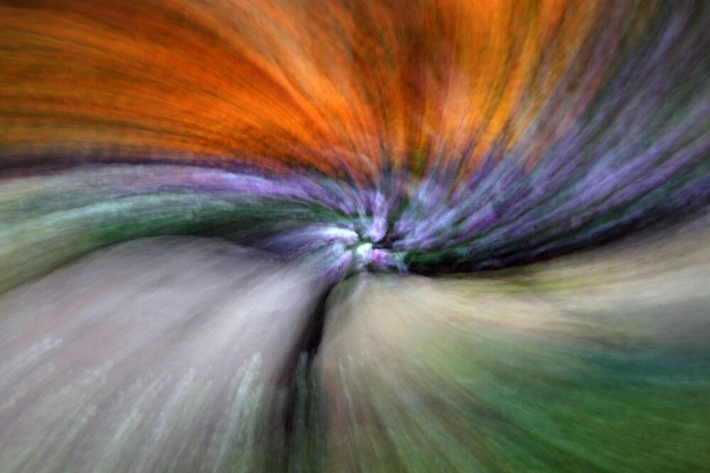 "Rock Garden Swirl" by Cora Wandel | Redbubble