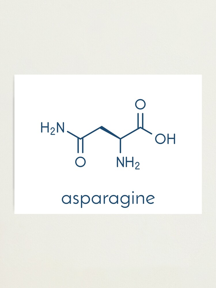 Lámina fotográfica «Asparagina (L-asparagina, Asn, N) molécula de ...