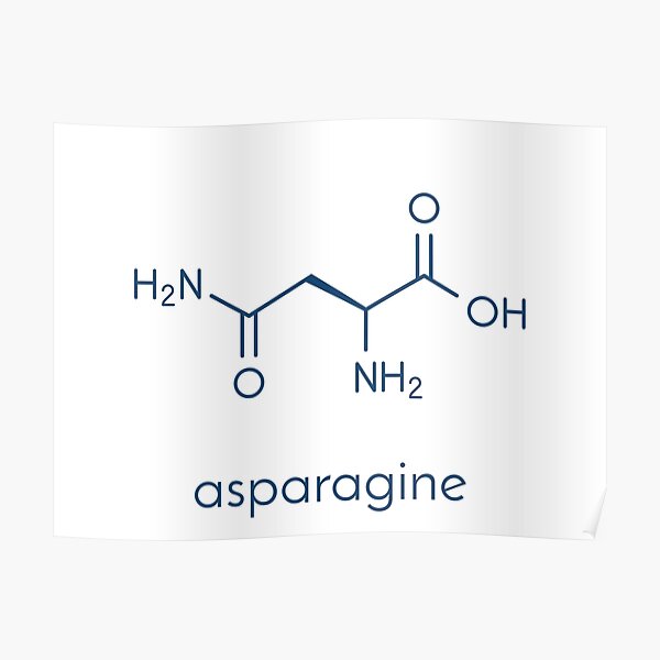 Póster «Asparagina (L-asparagina, Asn, N) molécula de aminoácido» de ...