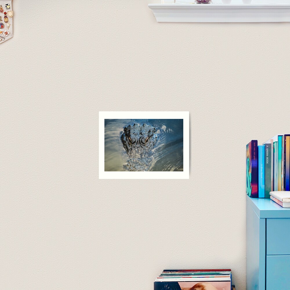"stalking alligator" Art Print for Sale by KensLensDesigns | Redbubble