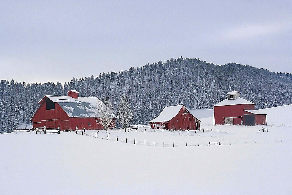 "Old Red Barns In Winter At Kamiak Butte Near Pullman, Washington" by ...