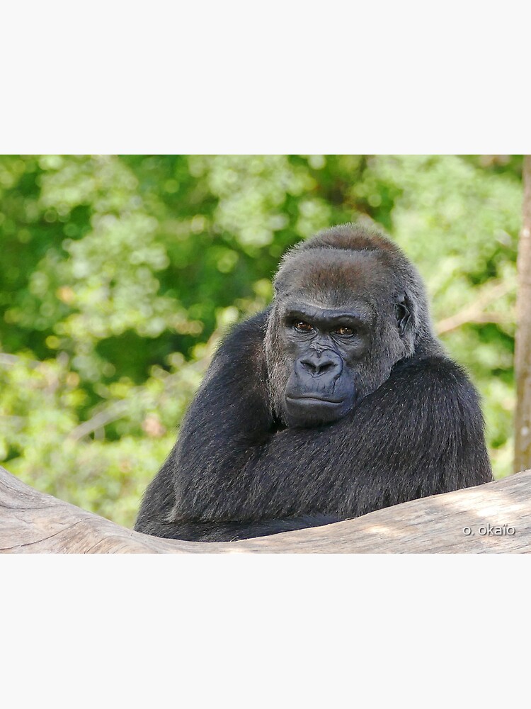 "r607 / finition 2022 : Gorilla atitude and Expression of a human ...