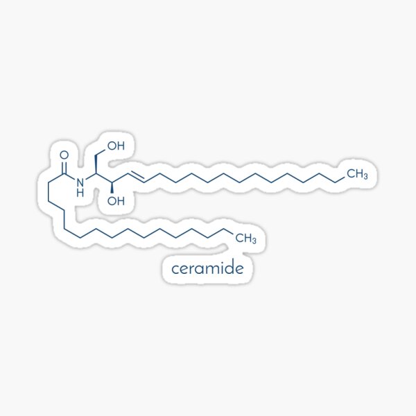 "Ceramide cell membrane lipid molecule" Sticker by molekuul | Redbubble
