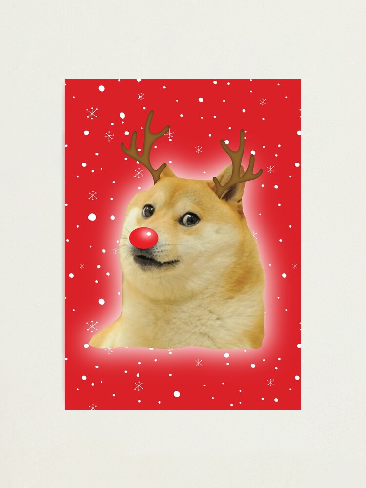 Lámina fotográfica «Christmas Doge meme Doggo Holiday Season con ...
