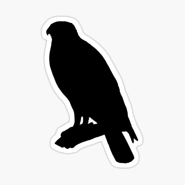 "Hawk Buzzard Raptor" Sticker by RetroFuchs | Redbubble