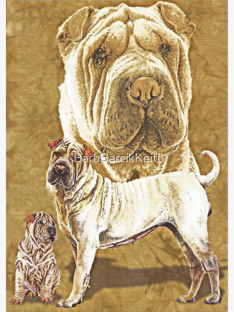 "Chinese Shar Pei Alteration" Sticker by BarbBarcikKeith | Redbubble