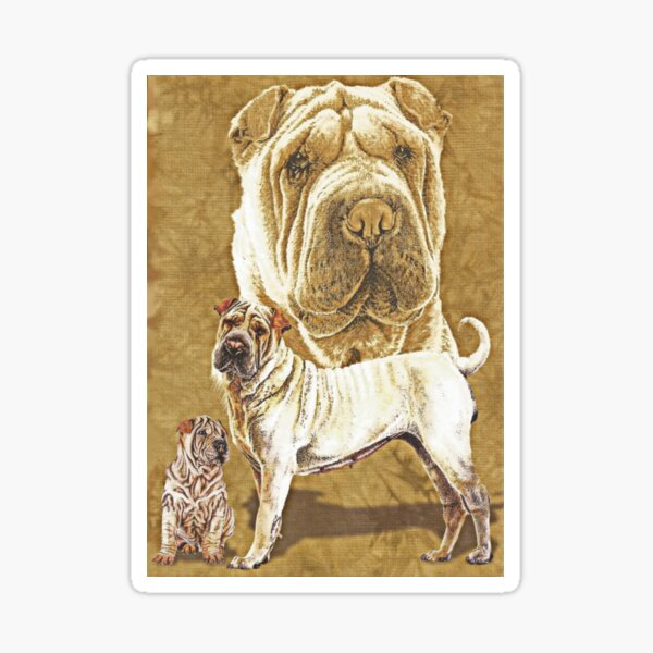 "Chinese Shar Pei Alteration" Sticker by BarbBarcikKeith | Redbubble