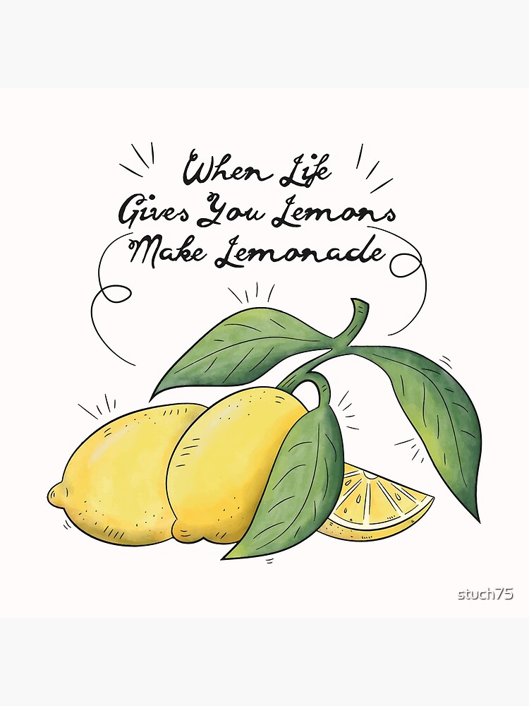 "Funny Lemonade - When Life Gives You Lemons Make - Juice Drink Humor ...