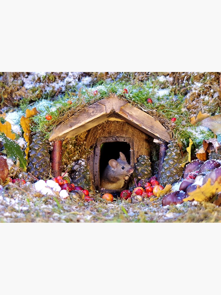 "festive christmas mouse in a log cabin house" Hardcover Journal by ...